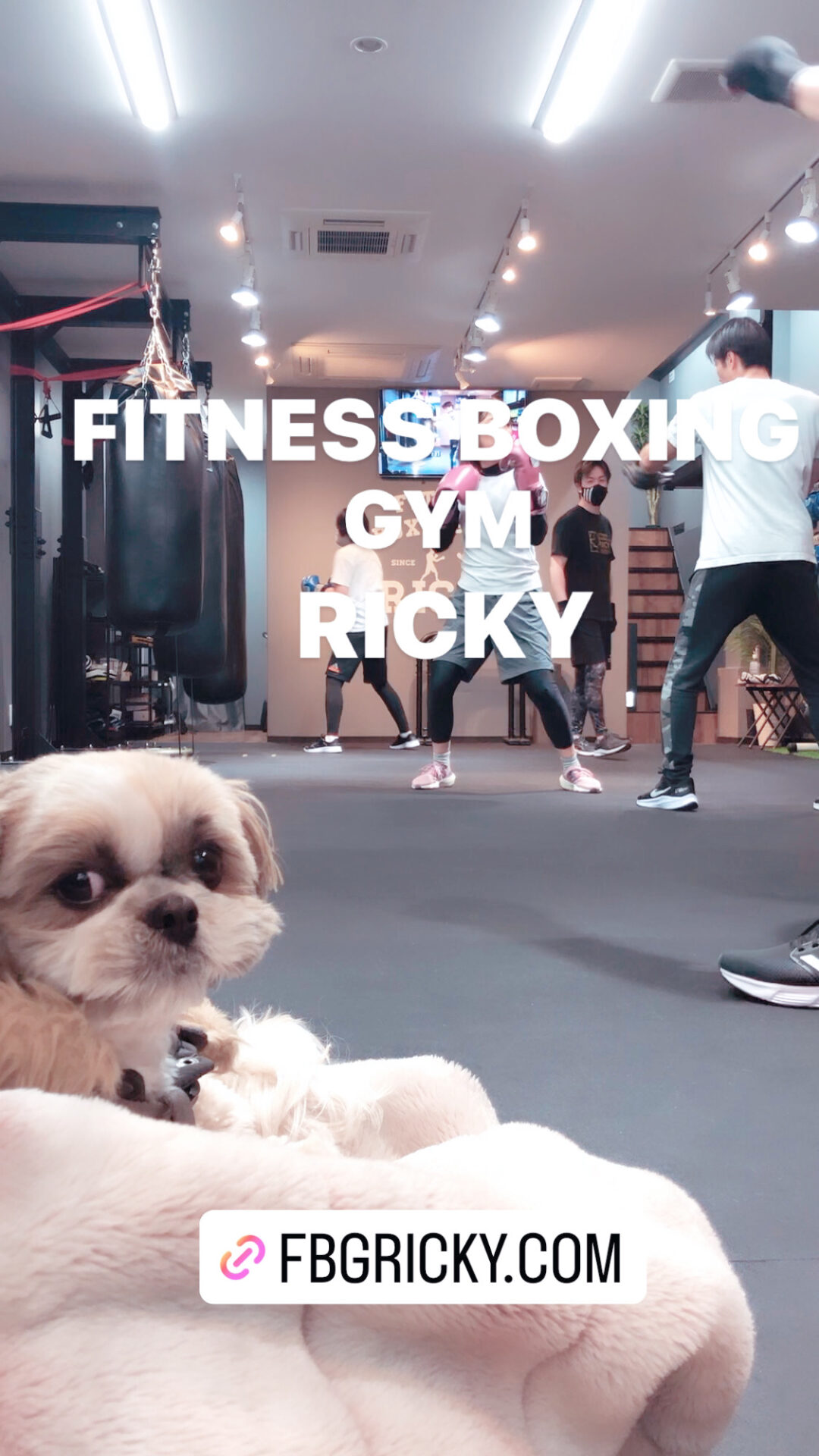 カットしたての – FITNESS BOXING GYM RICKY